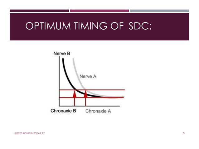 Strength Duration Curve: Dr Rohit Bhaskar | PDF | Brain and Nervous ...