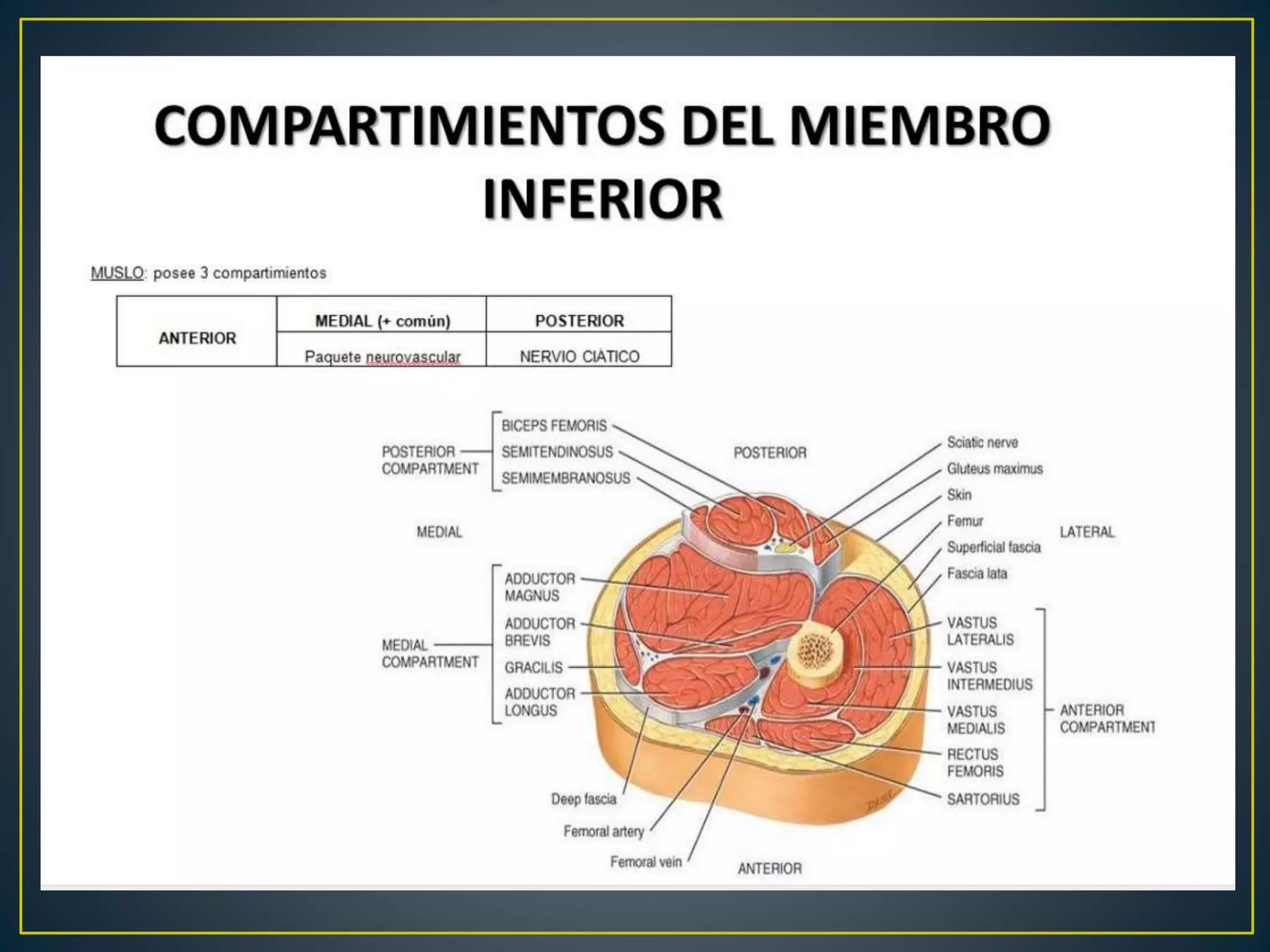 Sindrome compartimental y atrofia de sudeck | PPT
