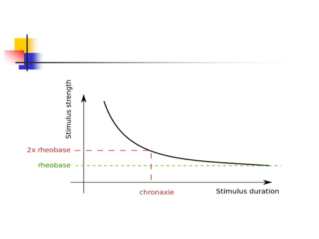 SD curve | PPT | Brain and Nervous System Disorders | Diseases and ...
