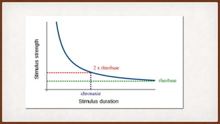 SD curve (Strength Duration Curve) | PPTX