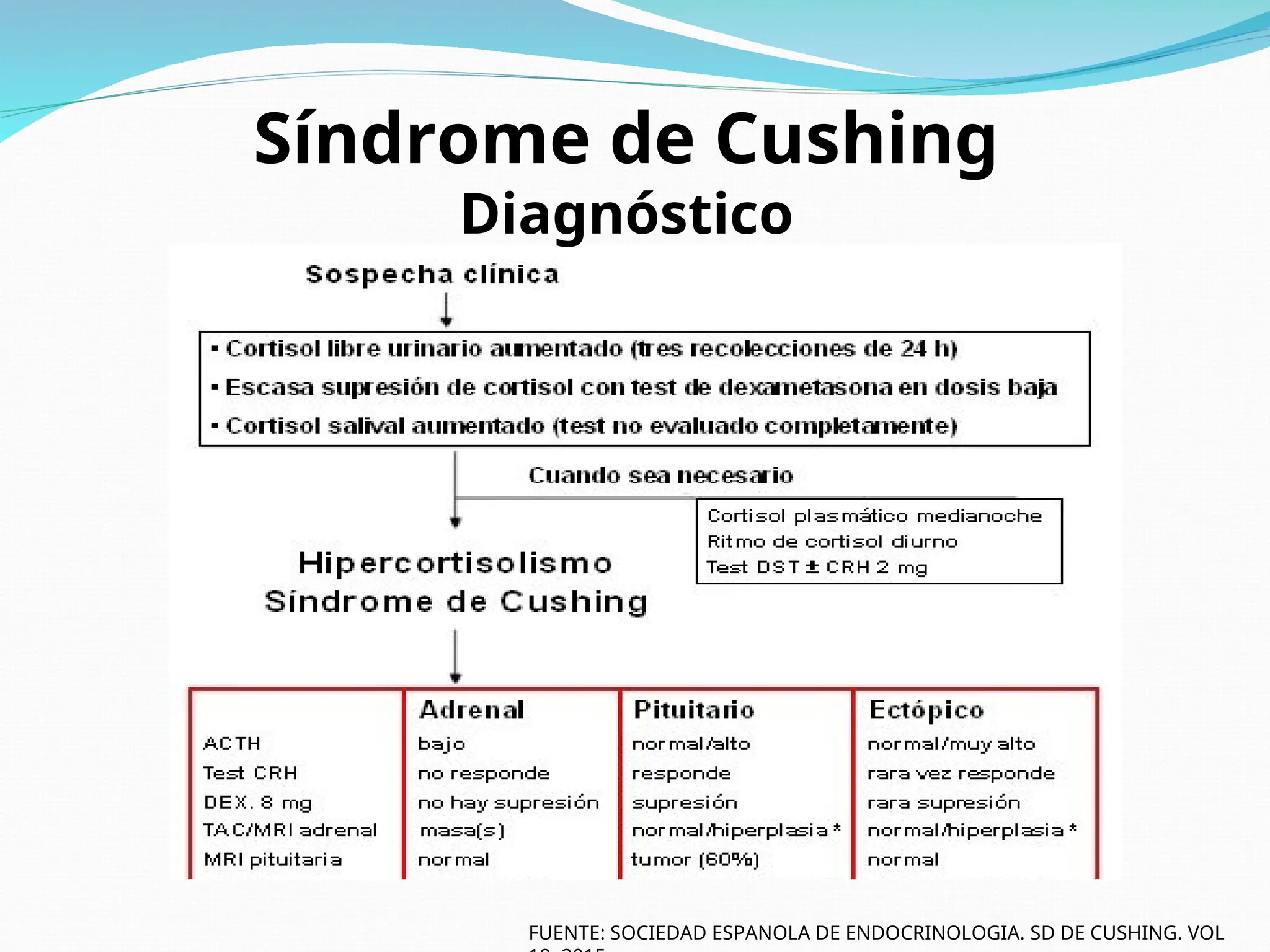 Sd Cushing fisiopatología 2017.......... | PPT