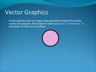 SD & D Vector Graphics | PPT | Graphics Software | Computer Software ...
