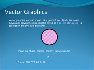 SD & D Vector Graphics | PPT | Graphics Software | Computer Software ...