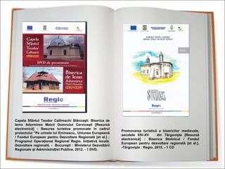 Elena Cristian, Svetlana Cecan. Documente electronice | PPT