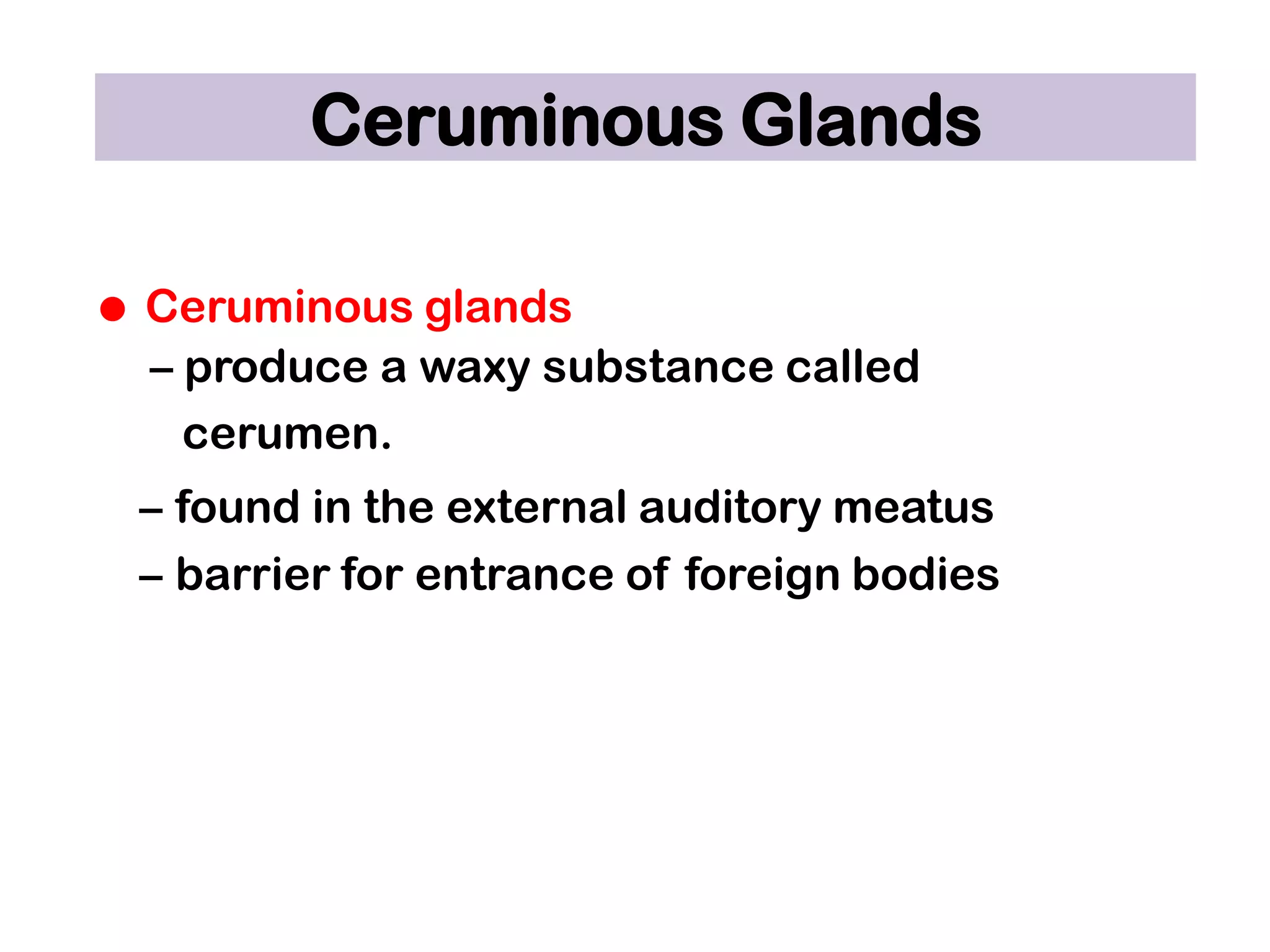 SemiSolid Dosage Forms | PDF