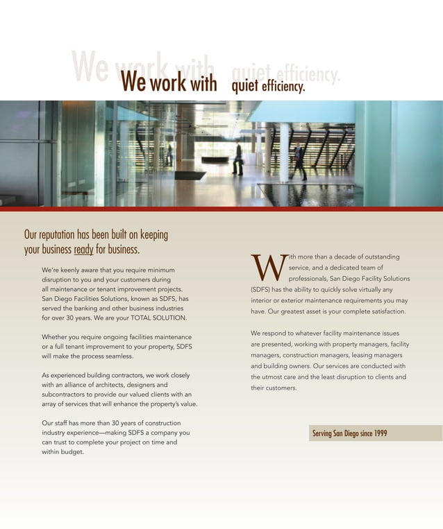 Sdfs Brochure Web | PDF