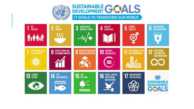 Integrating Sustainable Development Goals (SDGs) in School Education ...