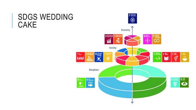 Integrating Sustainable Development Goals (SDGs) in School Education ...