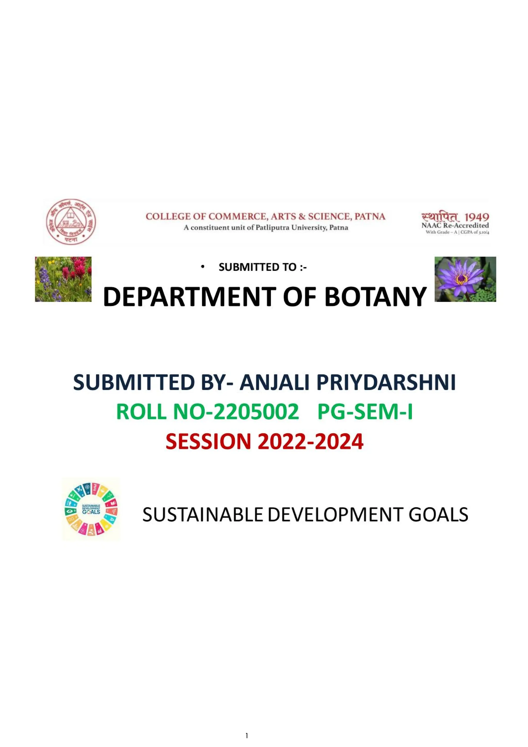SDG (sustainable development goal) of government | PDF