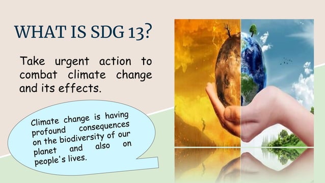 Sdg 13 presentation | PDF
