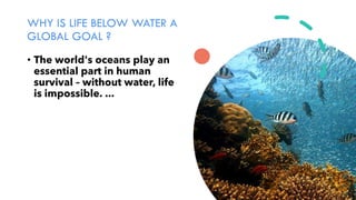 Sdg 14 presentation | PDF