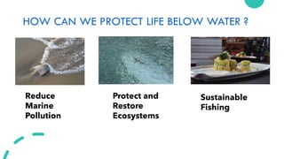 Sdg 14 presentation | PDF