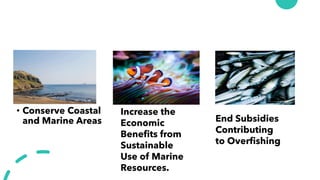 Sdg 14 presentation | PDF