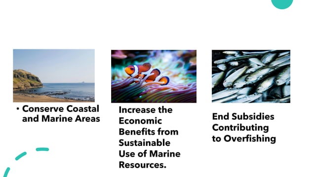 Sdg 14 presentation | PDF | Environment | Science