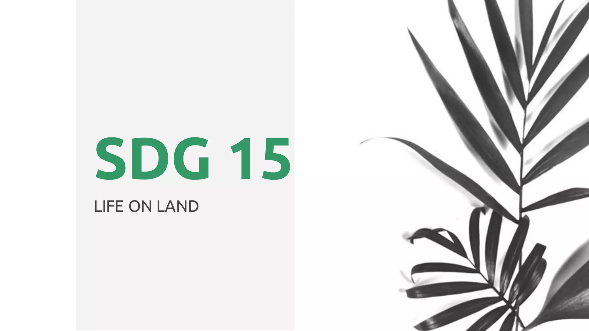 Sdg 15 presentation | PDF