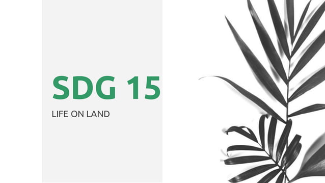 Sdg 15 presentation | PDF | Environment | Science