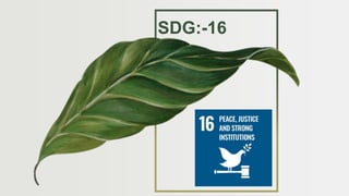 SDG 16.pptx