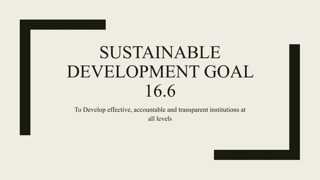 SDG 16.6.pptx