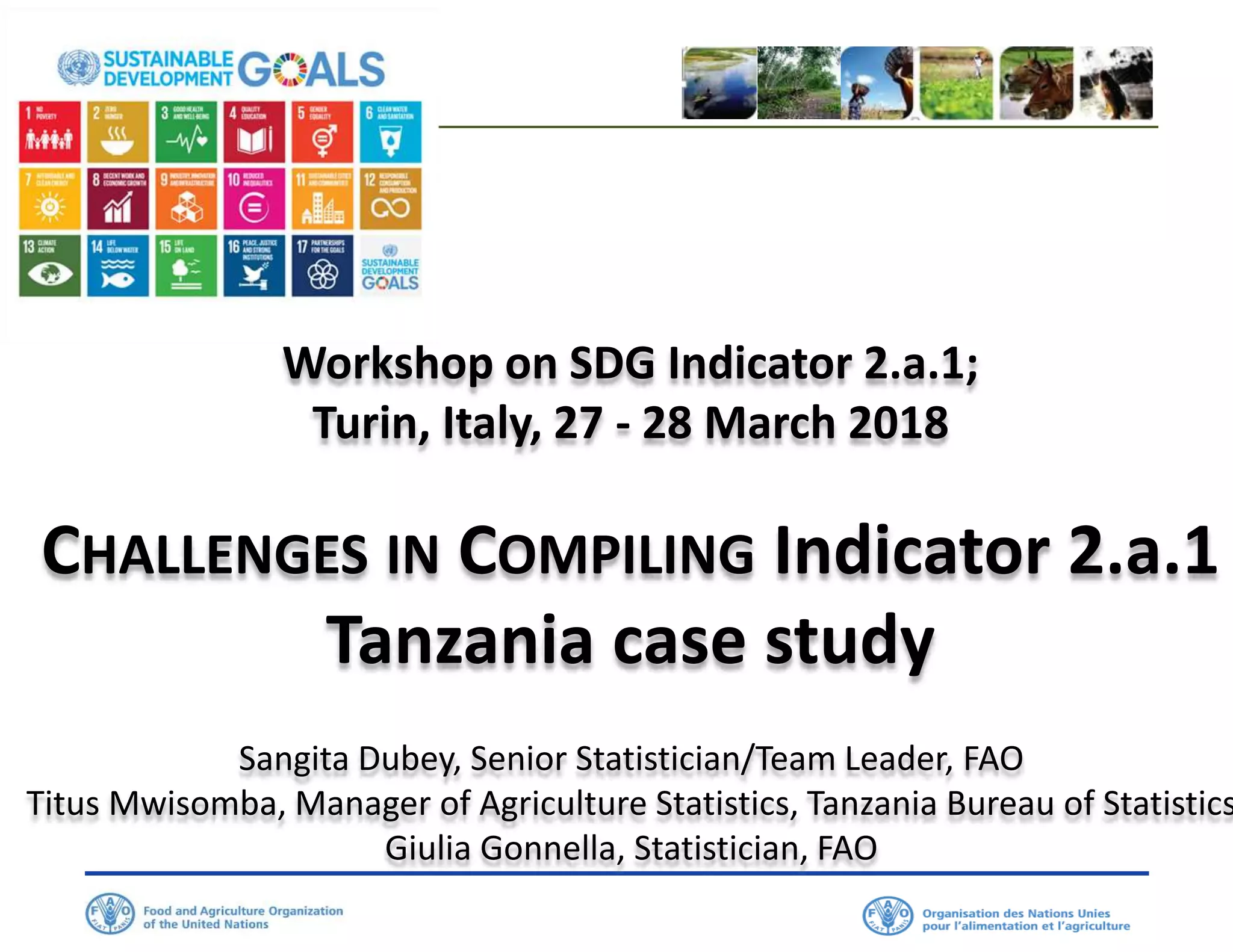Workshop on SDG Indicator 2.a.1, Turin, Italy, March 2018 - Challenges ...
