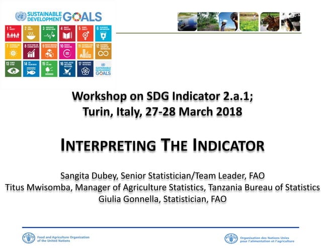 Workshop on SDG Indicator 2.a.1, Turin, Italy, March 2018 - Interpreting the indicator | PPT