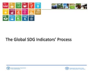 SDG Indicators and FAO Role_ ENGLISH | PPTX