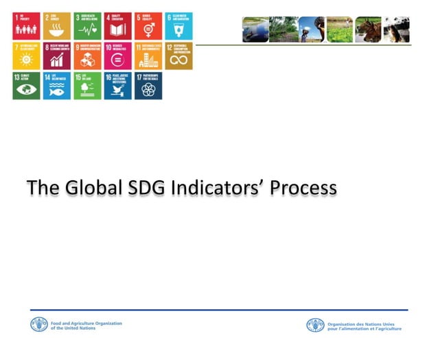 SDG Indicators and FAO Role_ ENGLISH | PPTX