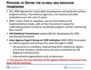SDG Indicators and FAO Role_ ENGLISH | PPTX