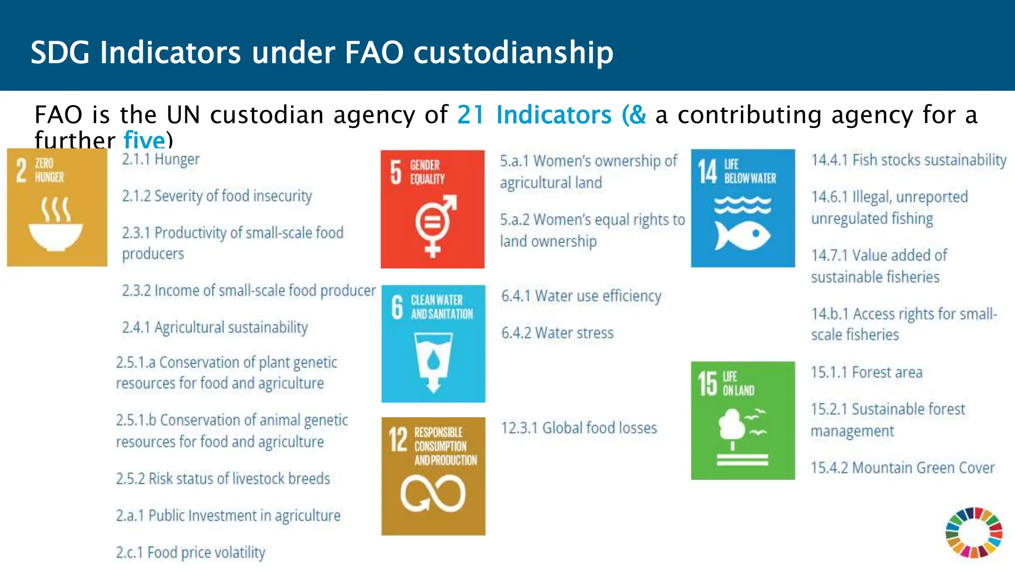 The Process of Global SDG monitoring and the key challenges faced by countries and International ...