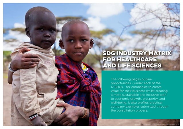 Sdg matrix healthcare | PPT