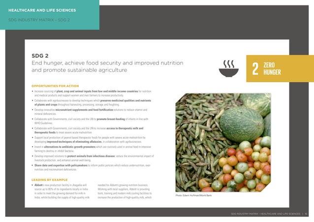 Sdg matrix healthcare | PPT