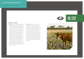 Sdg matrix healthcare | PDF