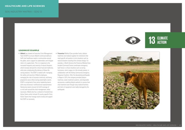 Sdg matrix healthcare | PPT