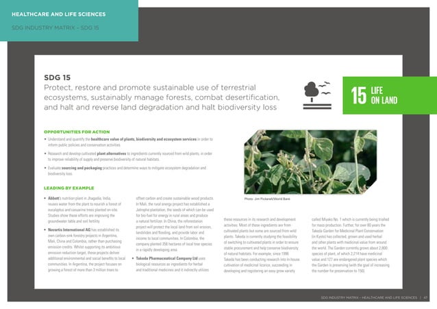 Sdg matrix healthcare | PPT