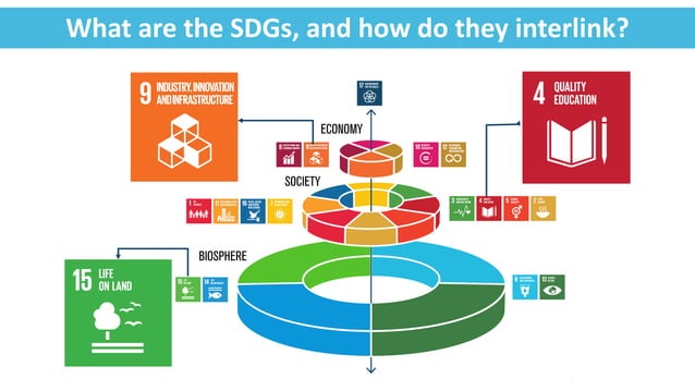 SUSTAINABLE DEVELOPMENT MOVEMENT KENYA AND GERMANY | PPT