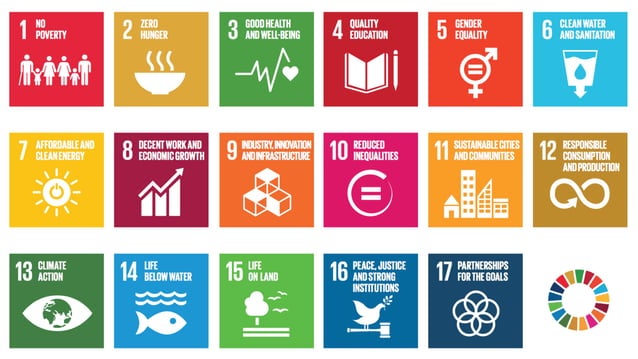 Presentasi MPKT B - NGO & SDGs | PPT