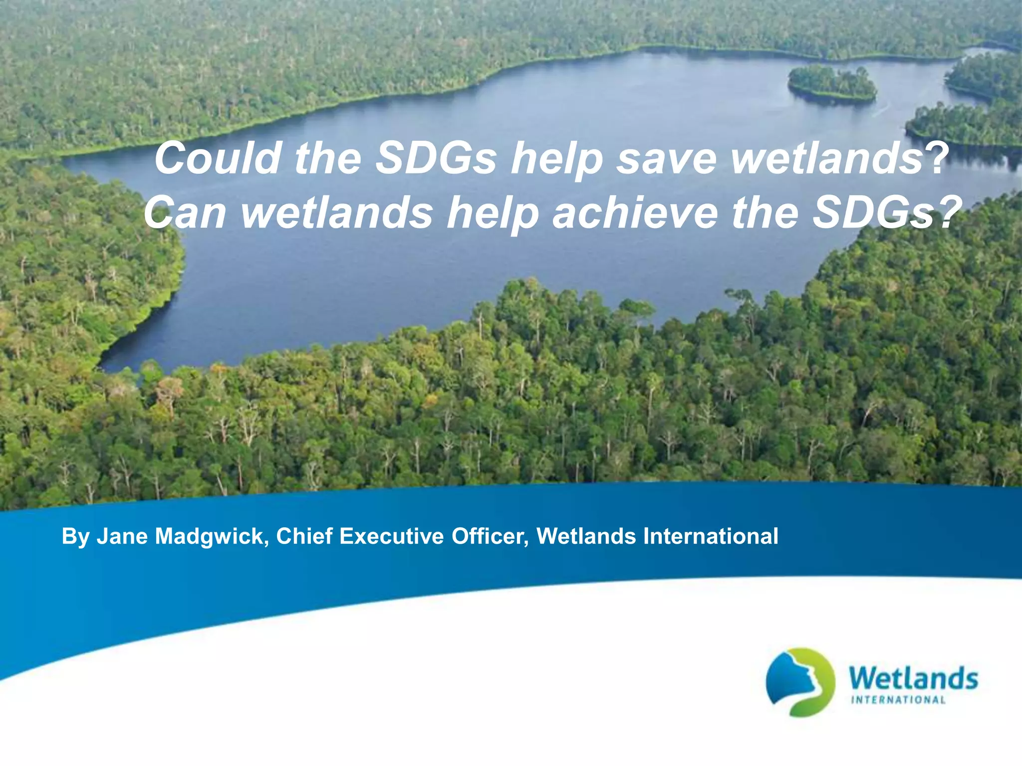 Could the SDGs help save wetlands? Can wetlands help achieve the SDGs ...