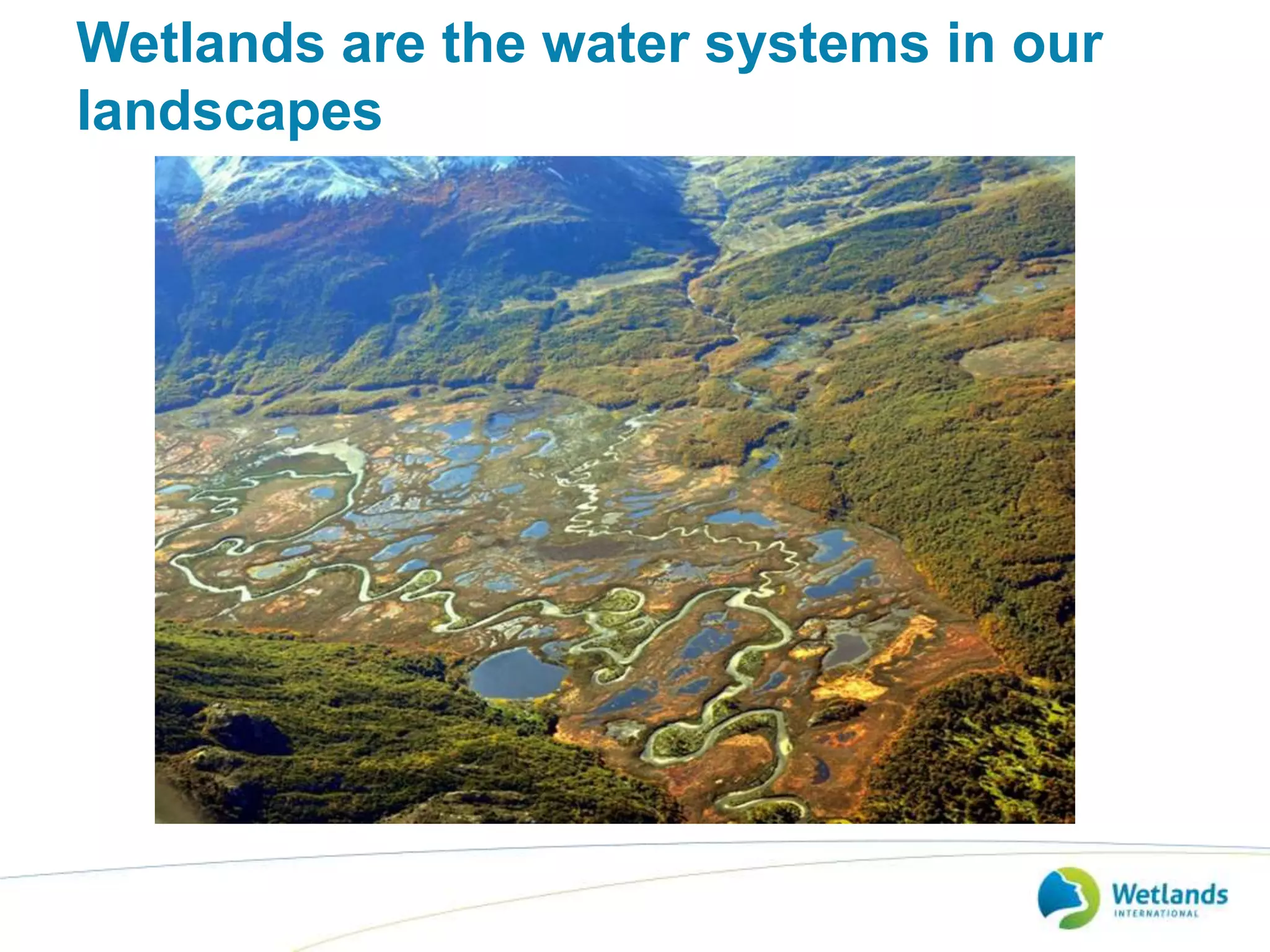 Could the SDGs help save wetlands? Can wetlands help achieve the SDGs ...
