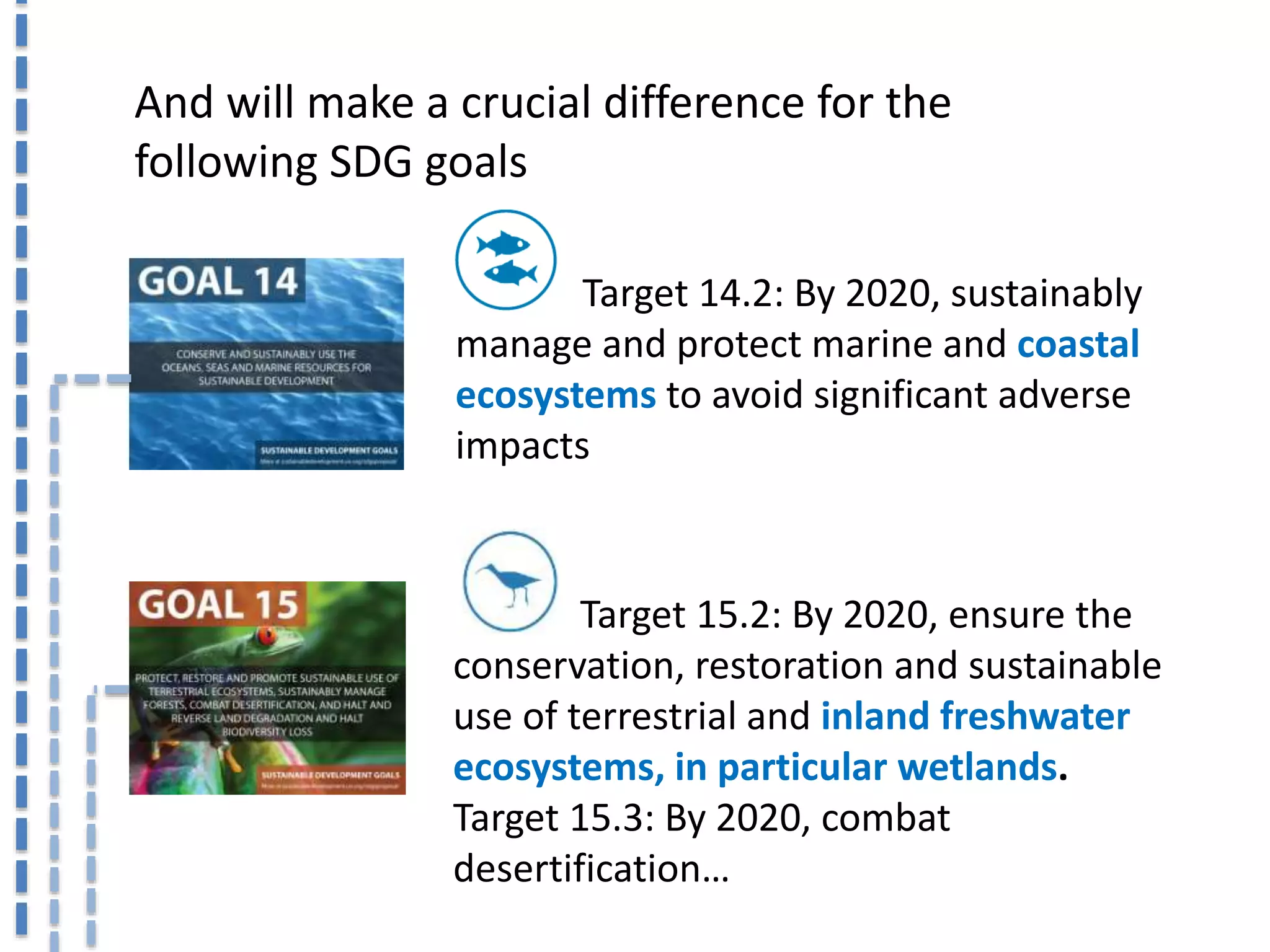 Could the SDGs help save wetlands? Can wetlands help achieve the SDGs ...