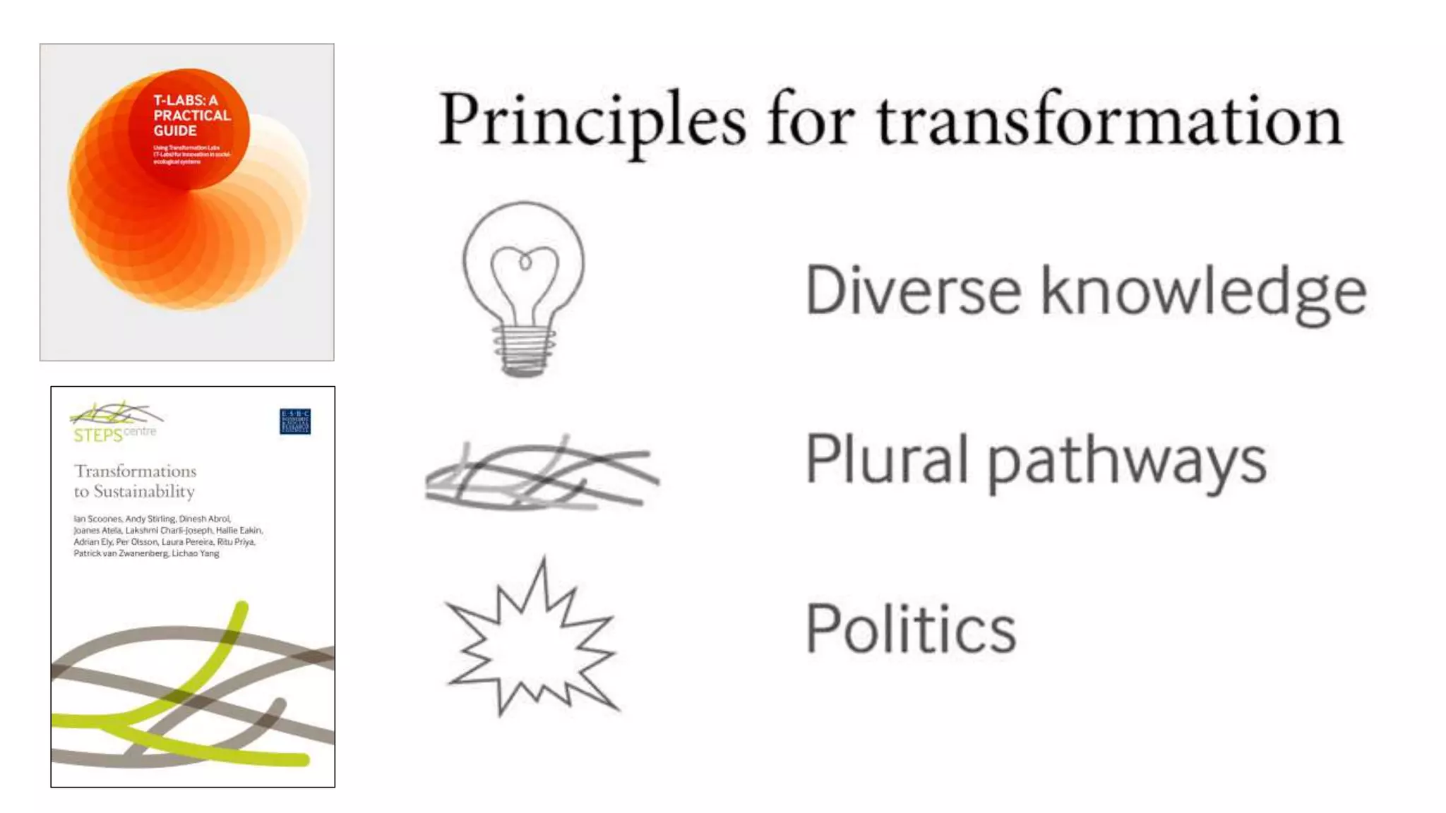 The SDGs: A new politics of transformation? | PPT