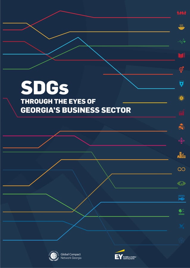 SDG Stocktake Georgia 2024 - SDGs Through the Eyes of Georgia's ...