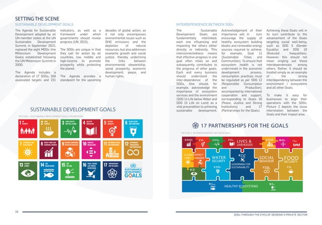 SDG Stocktake Georgia 2024 - SDGs Through the Eyes of Georgia's Business Sector | PDF