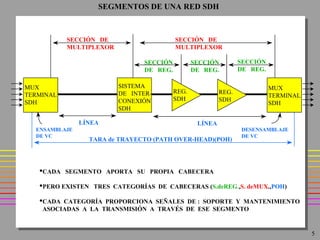 Sdh introduccion | PDF