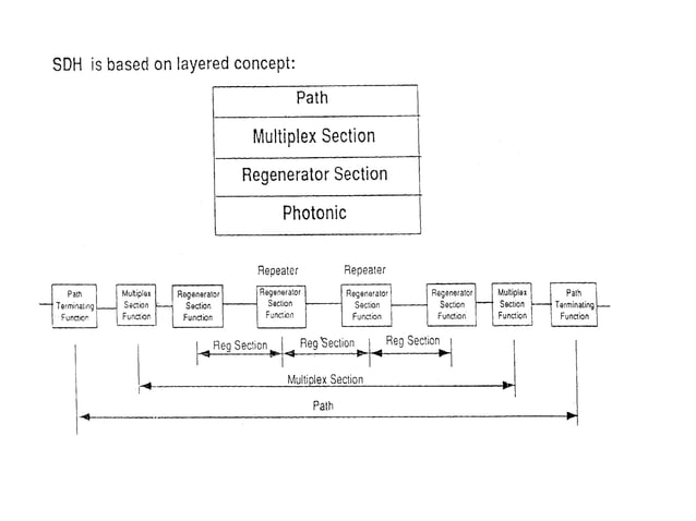 SDH BASICS | PPT | Computer Networking | Computing
