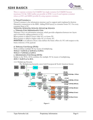 Sdh basics hand_outs_of_sdh_basics | PDF