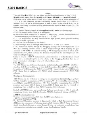 Sdh basics hand_outs_of_sdh_basics | PDF