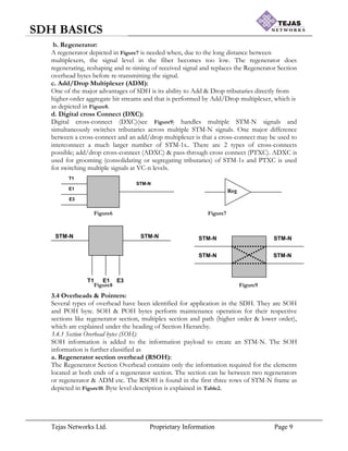 Sdh basics hand_outs_of_sdh_basics | PDF