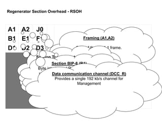 SDH_Frame_Structure.ppt | Computer Networking | Computing