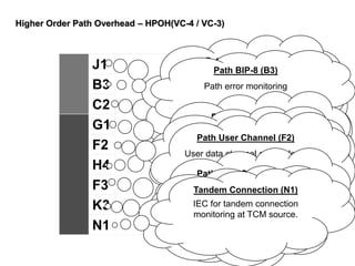 SDH_Frame_Structure.ppt | Computer Networking | Computing