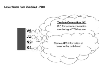 SDH_Frame_Structure.ppt | Computer Networking | Computing