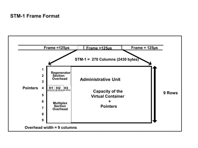 SDH_Frame_Structure.ppt | Computer Networking | Computing